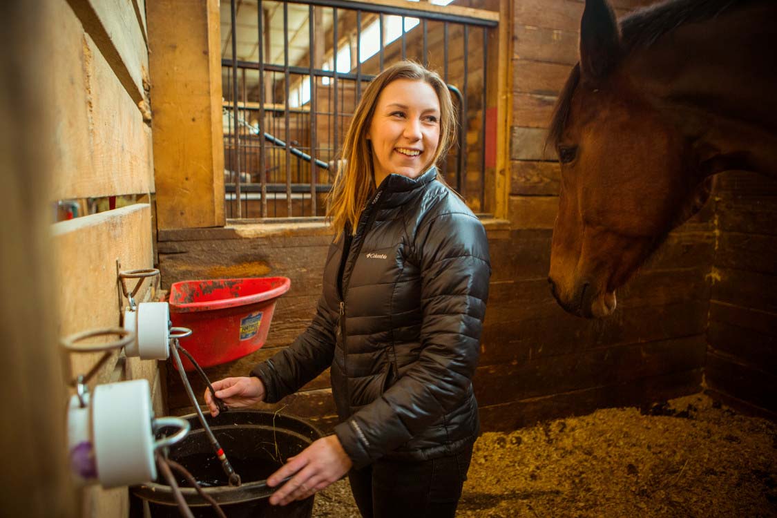 Center for Veterinary Business & Entrepreneurship - Entrepreneurship at ...